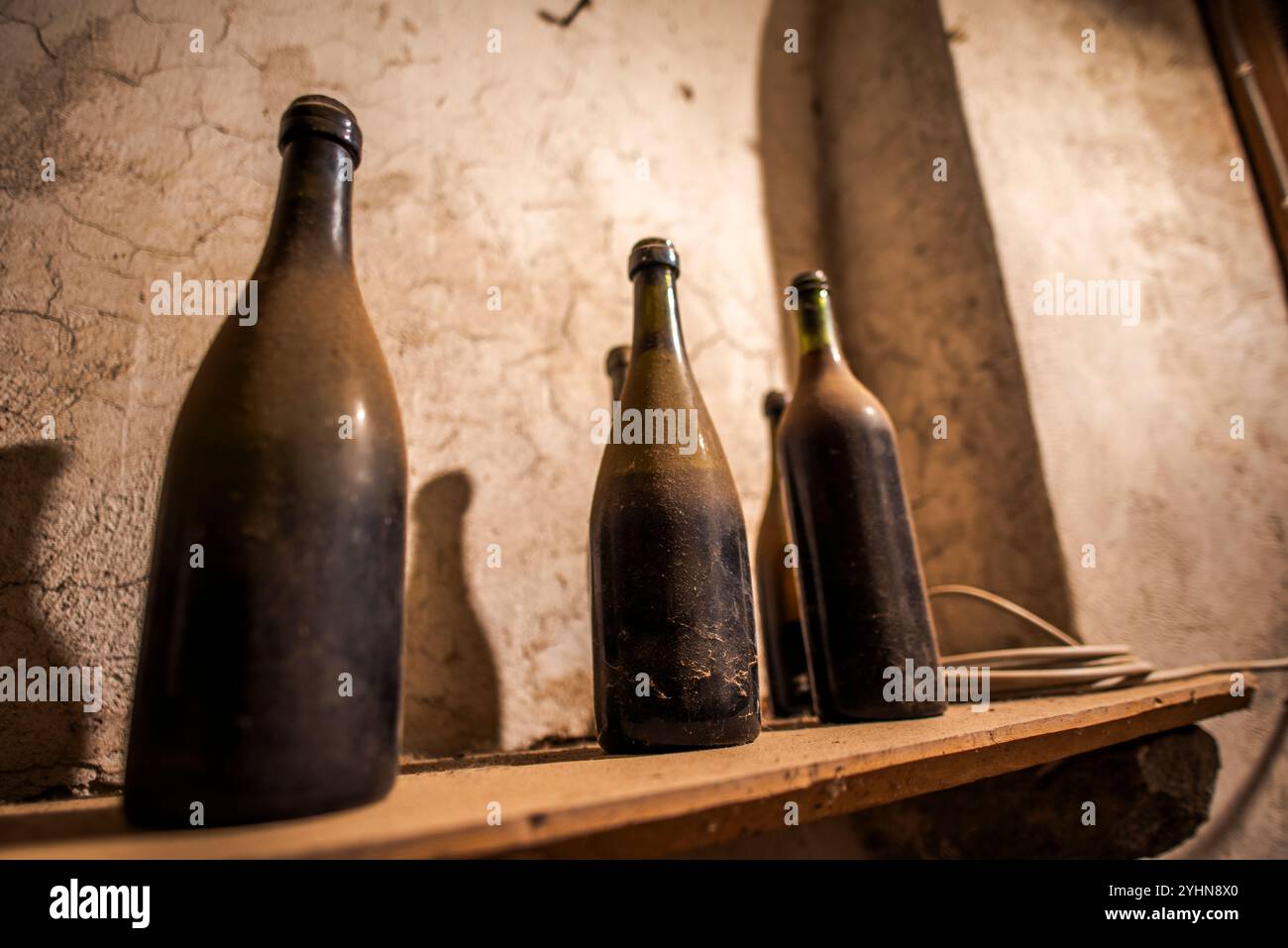 closed antique wine bottles in an old cellar with dust and cobwebs ...