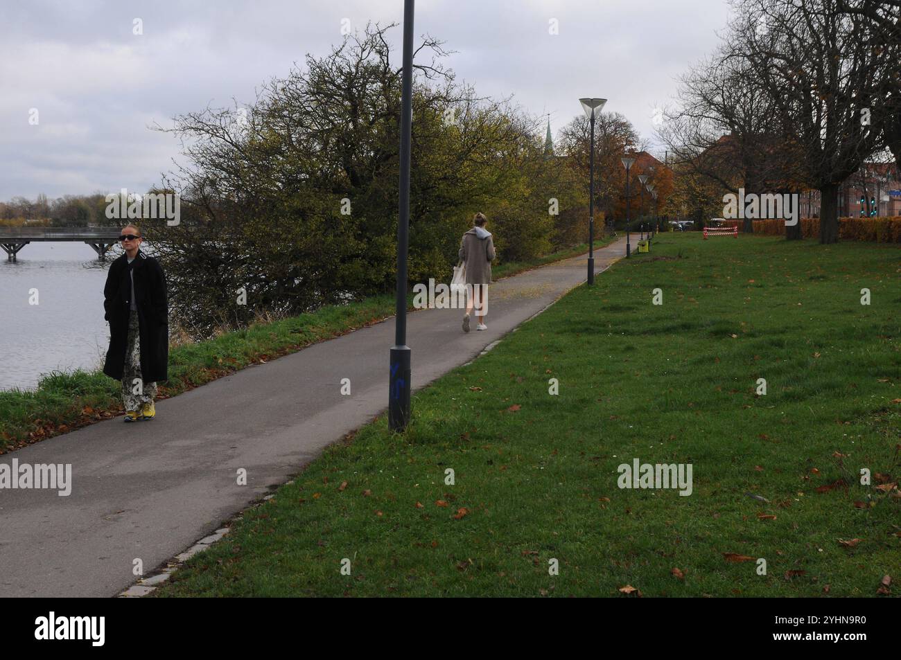 Copenhagen/ DenmarK/12 NOV. 2024/ Yellow and brown leaves shows autumn ...