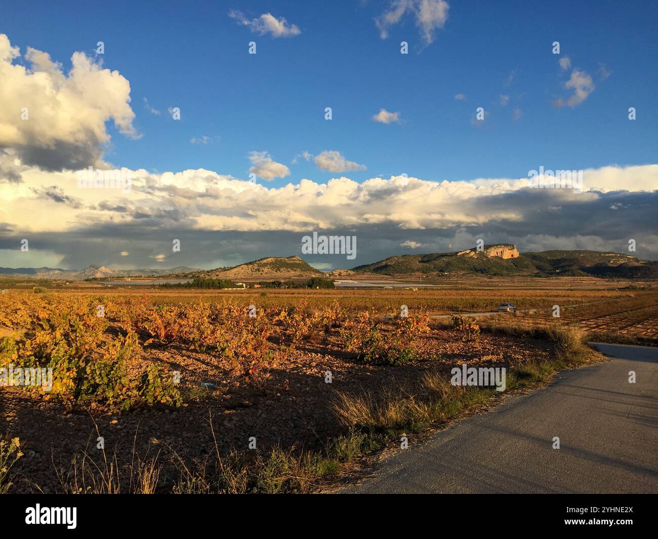 Vineyard lifestyle hi-res stock photography and images - Alamy
