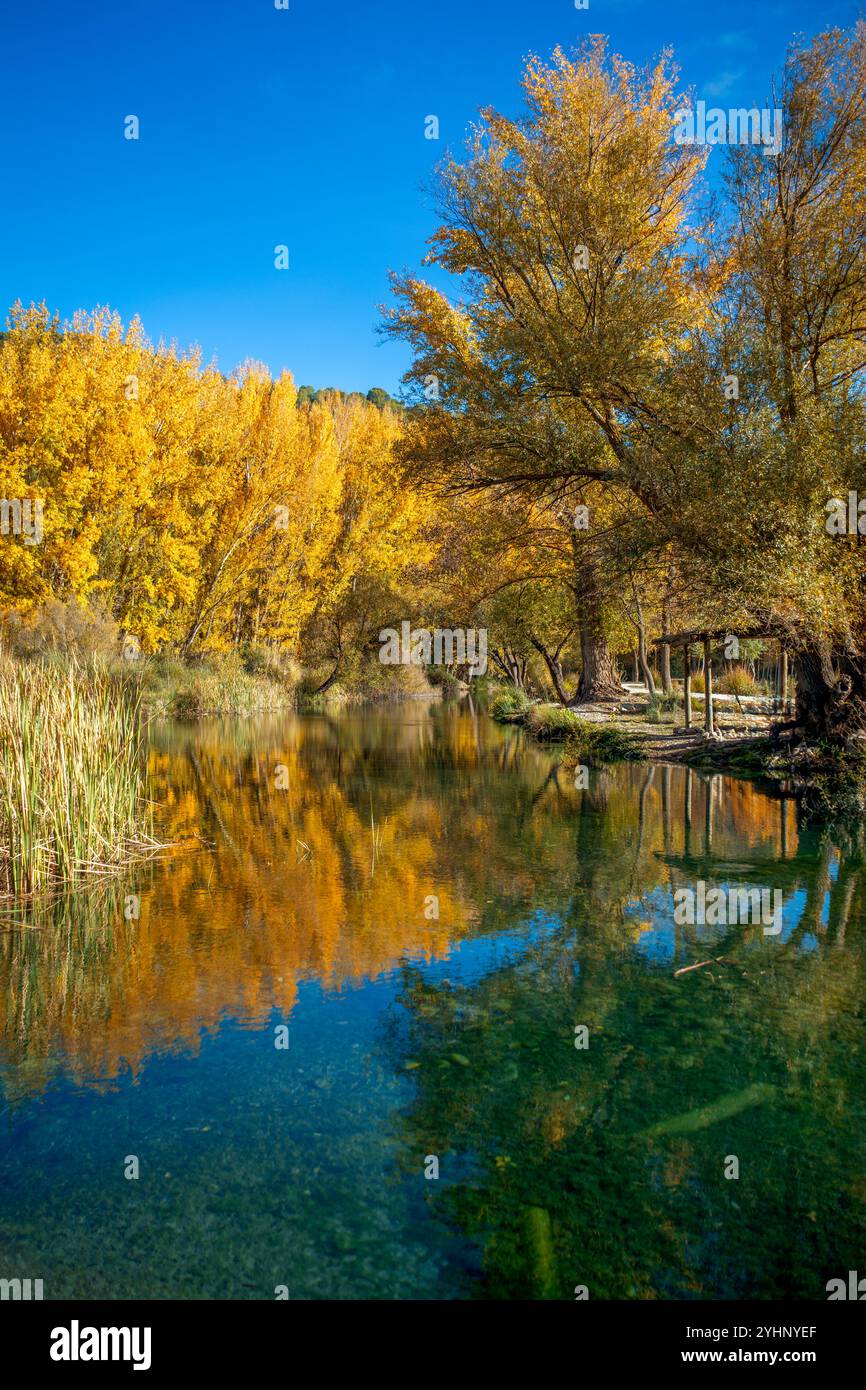 Vertical view of the reflection of the trees in autumn on the river, in ...