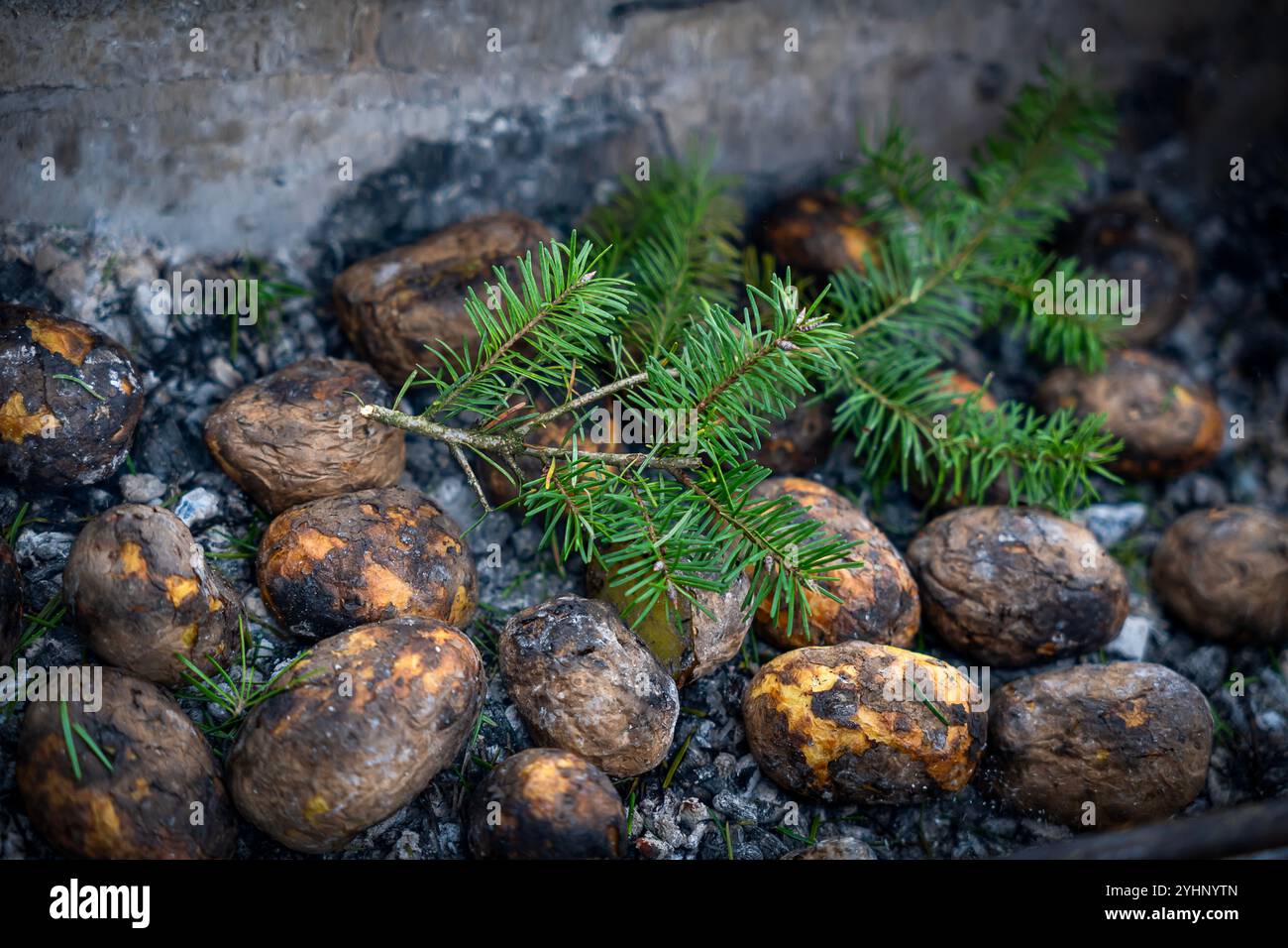 Baked Potatoes in the hot coals in a camp fire - Campfire cooking Stock ...