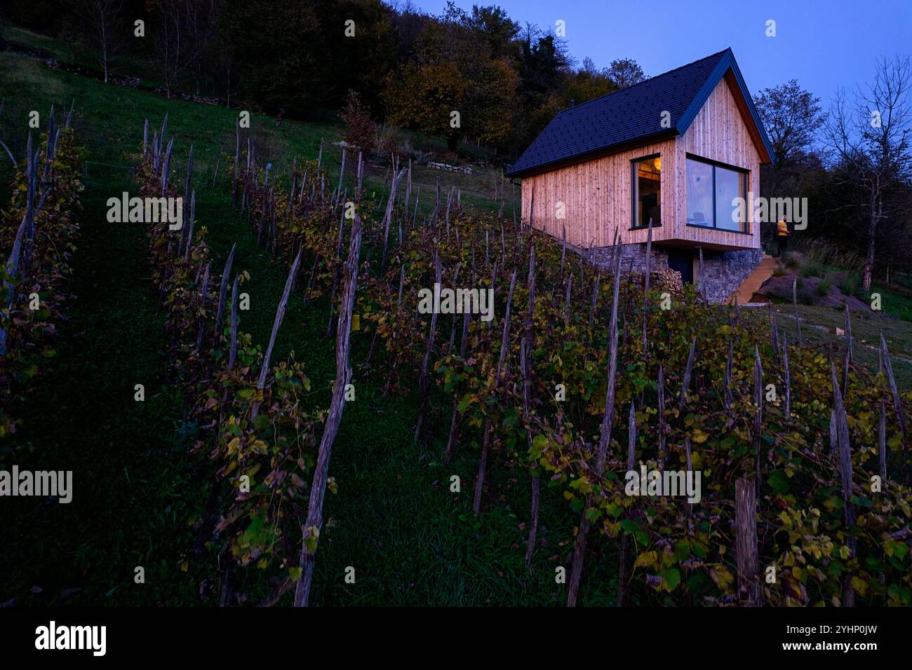 A small modern wooden cabin among rows of grapes grown for wine ...