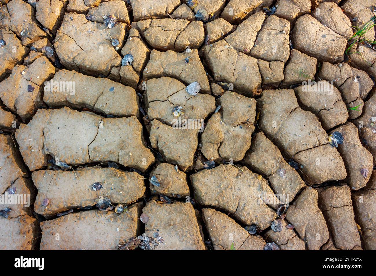 Clay soil with drying cracks Stock Photo - Alamy
