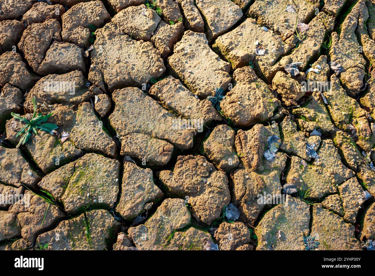 Clay soil with drying cracks Stock Photo - Alamy