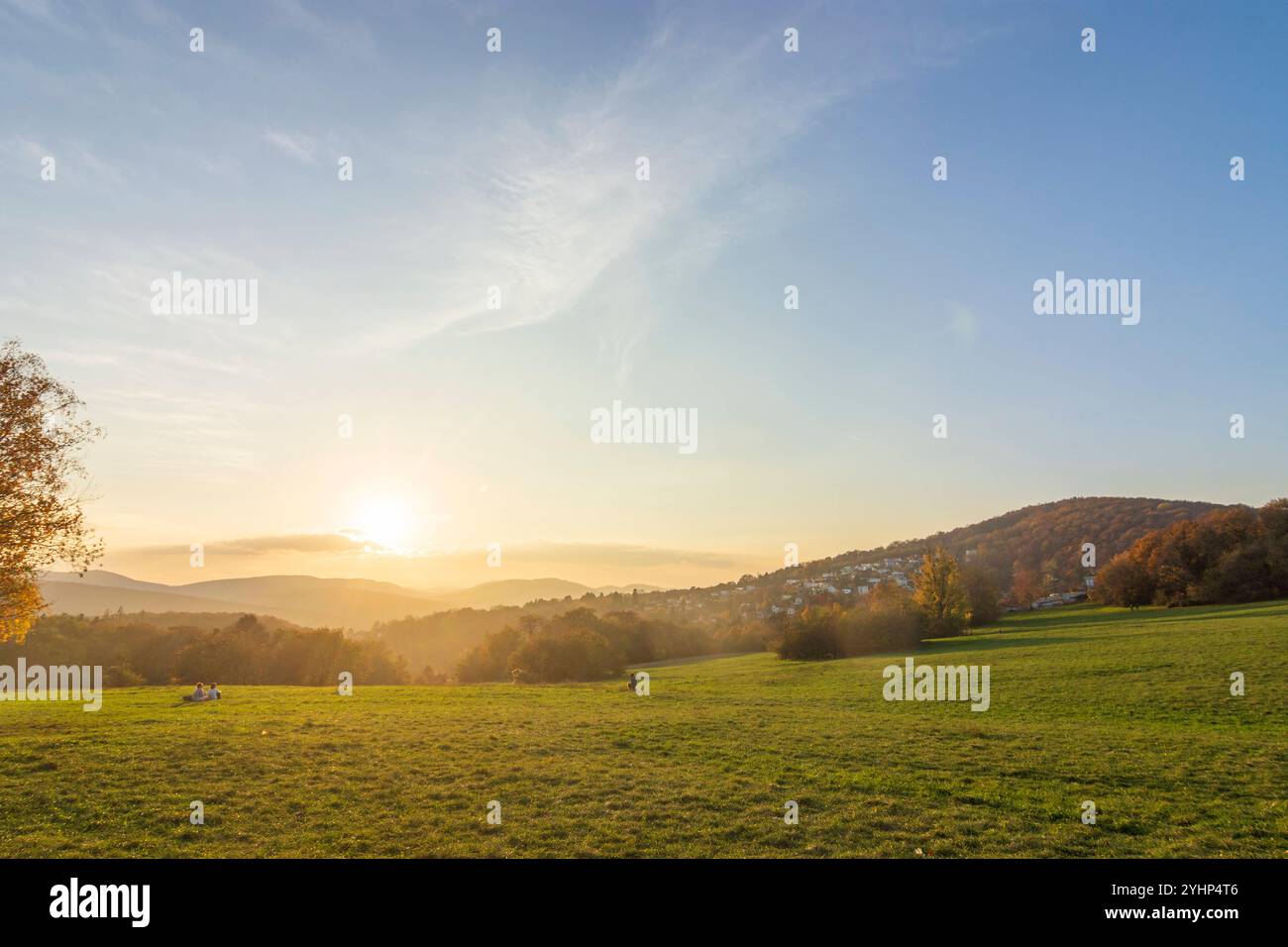 park Steinhof, Steinhofgründe Vienna 14. Penzing Wien Austria Stock ...