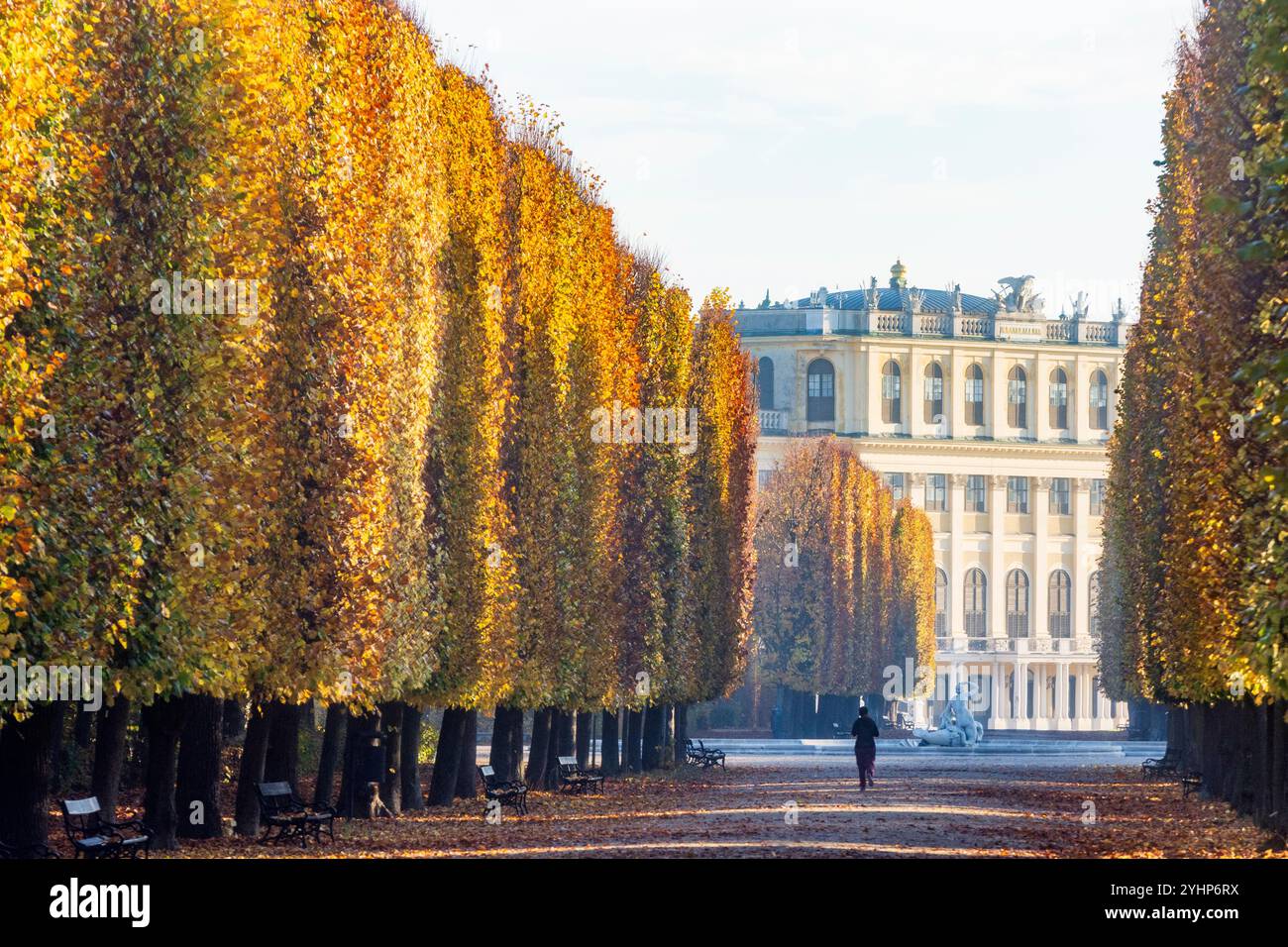 Vienna: Schloss Schönbrunn Palace and park, main facade, naiad fountain ...