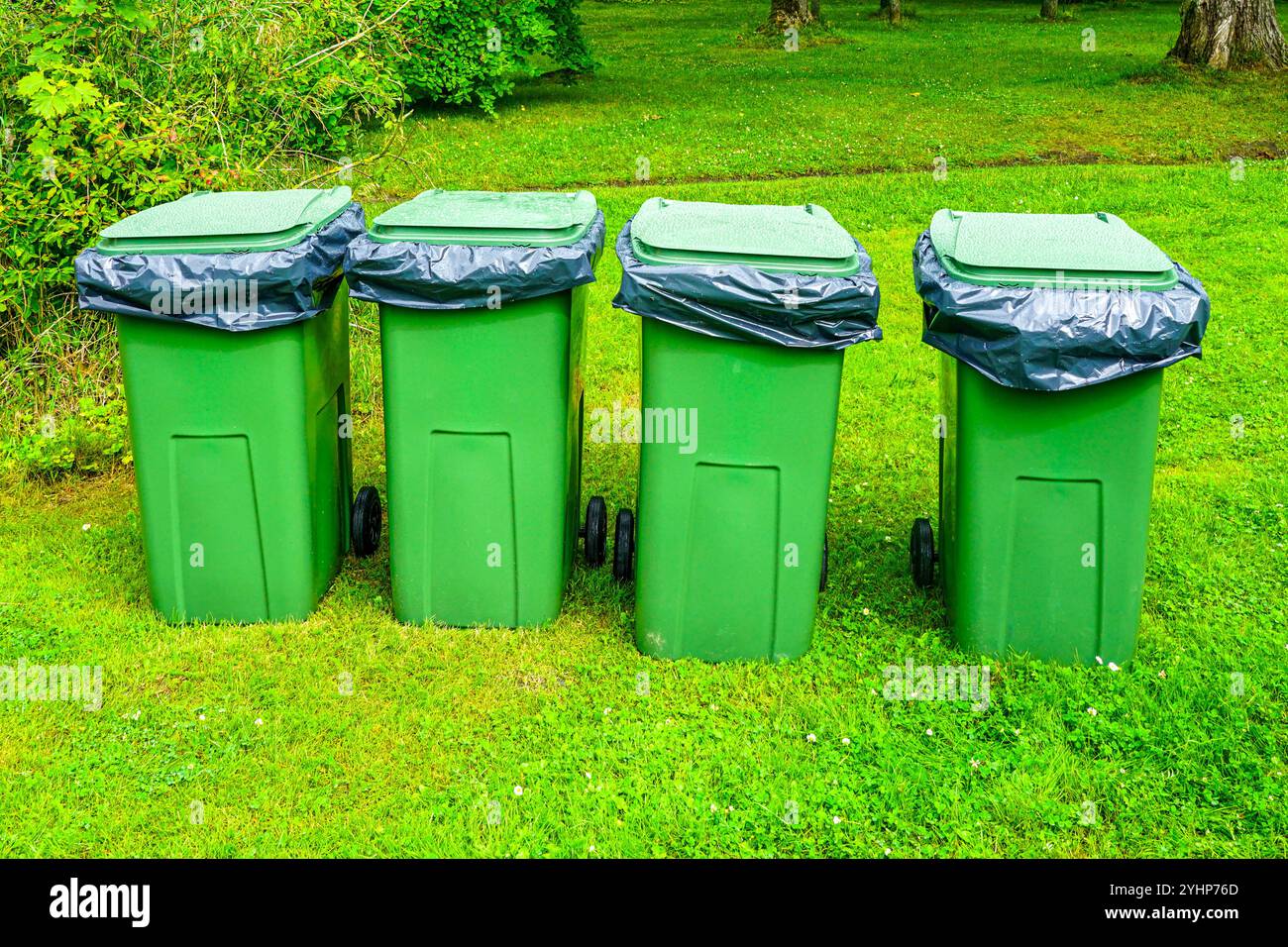 Four green wheeled plastic waste bins in the meadow for the convenience ...