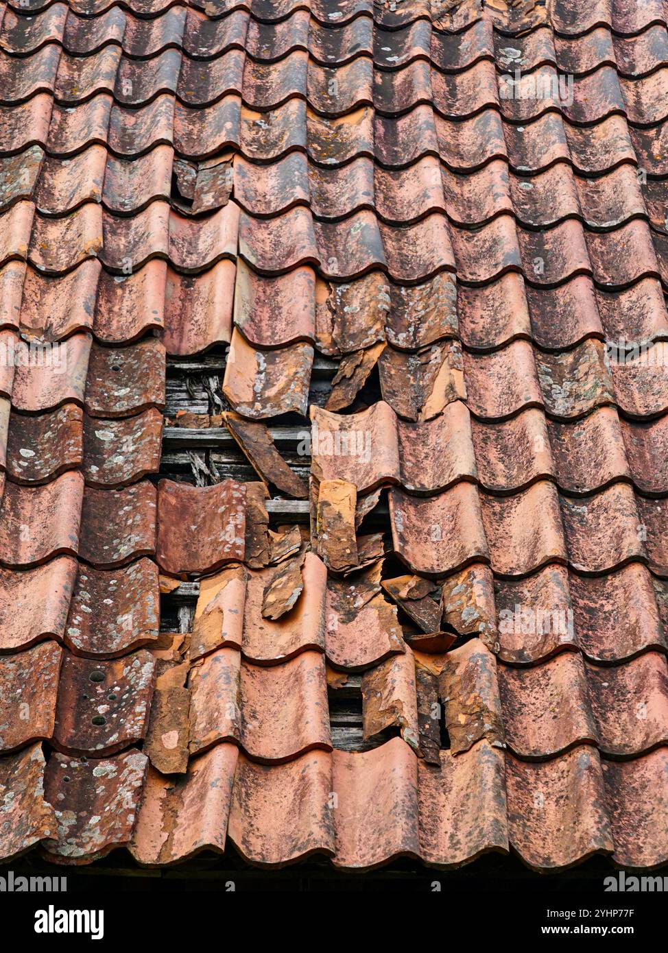 Dangerously damage to the clay tile roof of a historic house with some ...