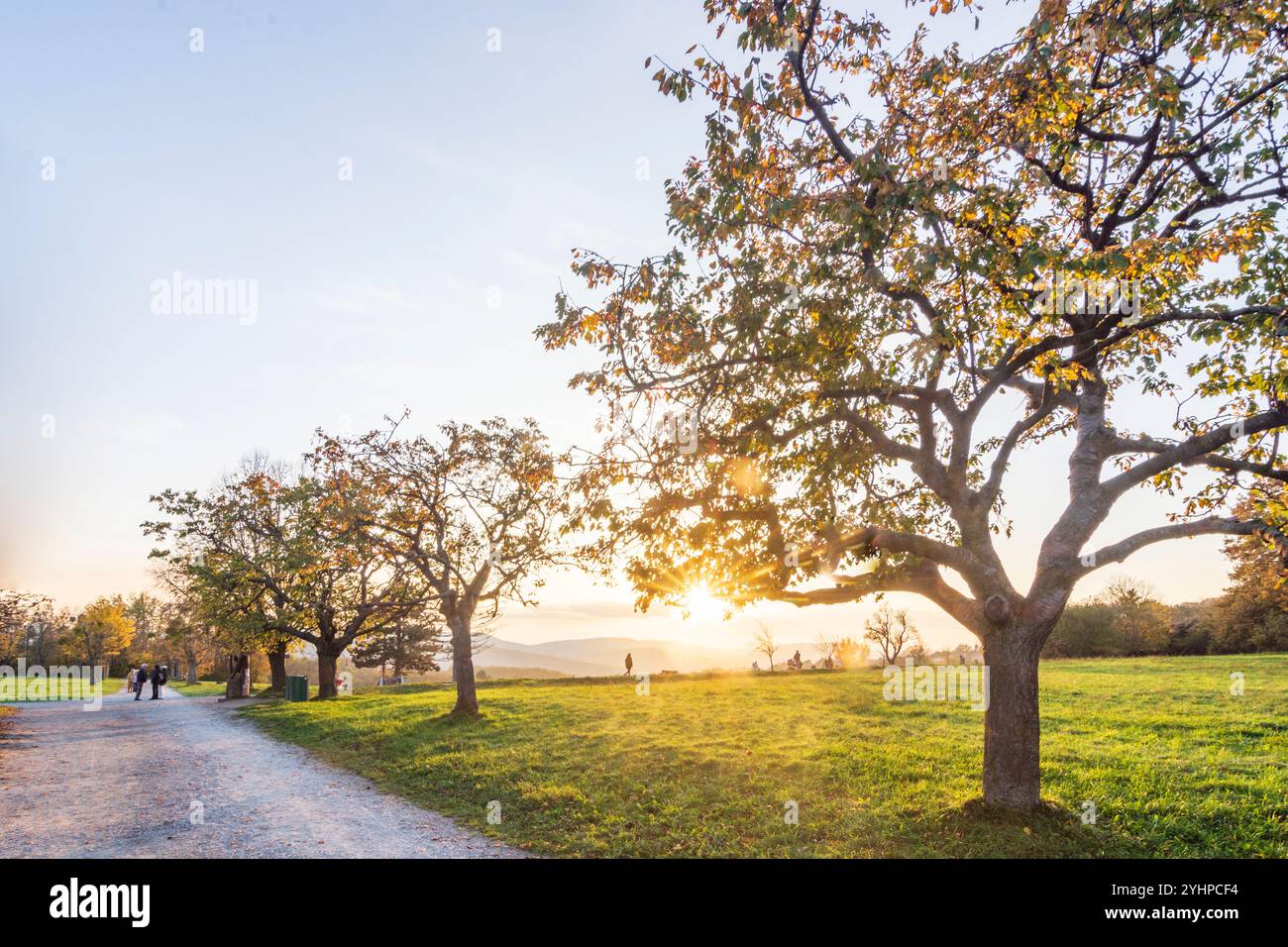Vienna: park Steinhof, Steinhofgründe in 14. Penzing, Wien, Austria ...
