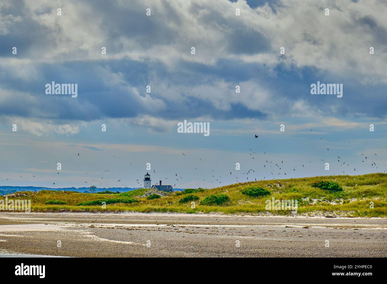 Sandy neck lighthouse with a dramatic sky with several flying birds ...