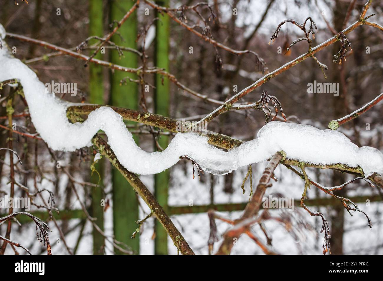 Sudden cold snap hi-res stock photography and images - Alamy