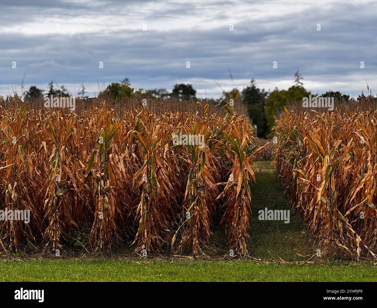 Central experimental farm hi-res stock photography and images - Alamy