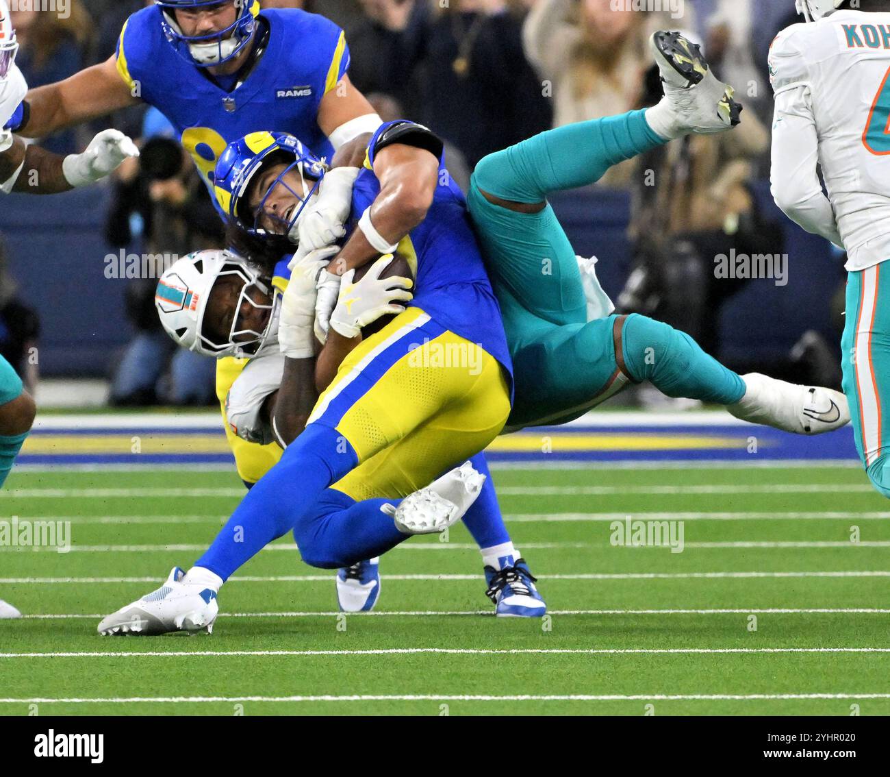Puka nacua rams hi-res stock photography and images - Alamy