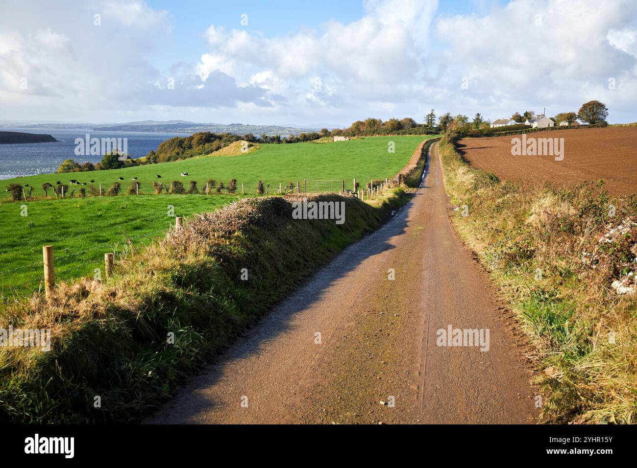 rural narrow country road across inch island, county donegal, republic ...