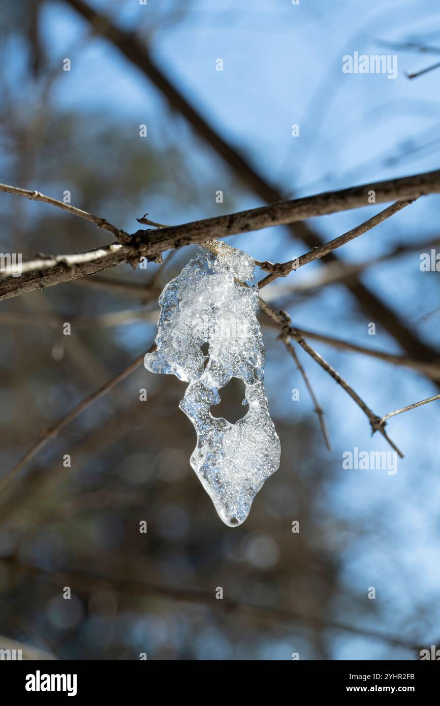 Formation ice on branch hi-res stock photography and images - Alamy