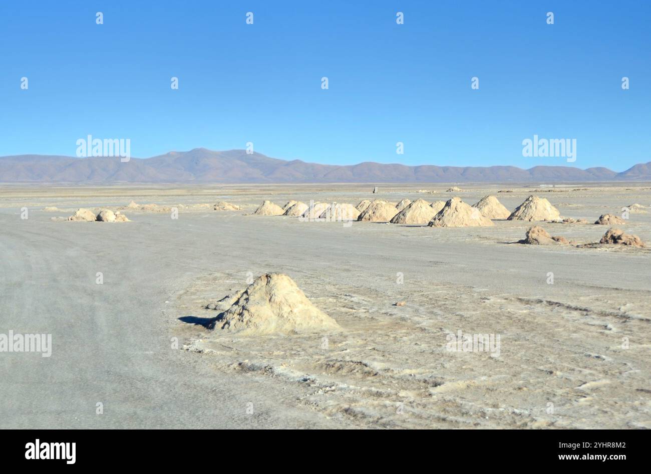 Salt extraction in the Salar de Uyuni salt desert in southern Bolivia ...