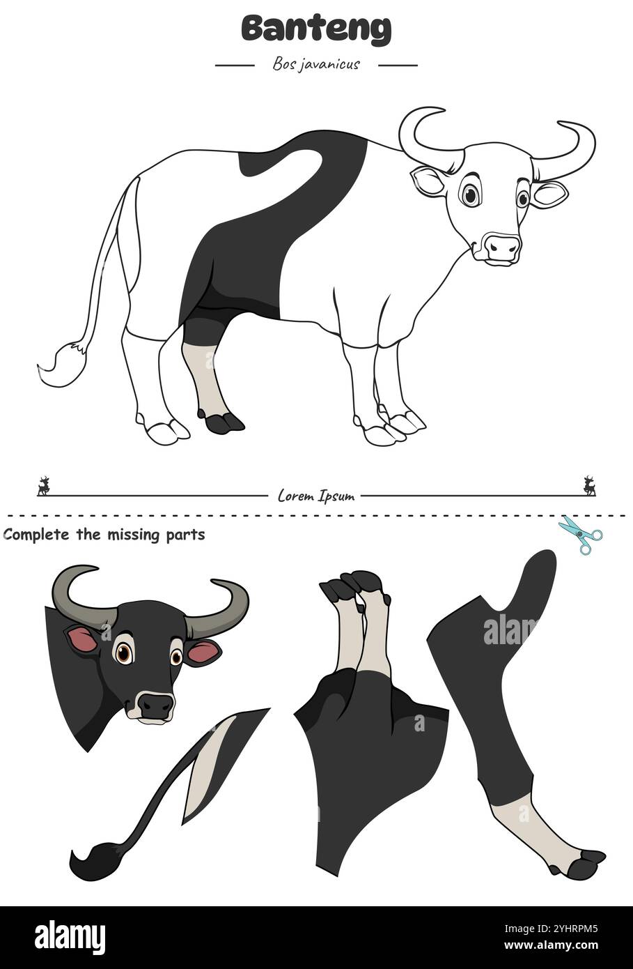 Cut and paste game for kid with banteng Stock Vector Image & Art - Alamy