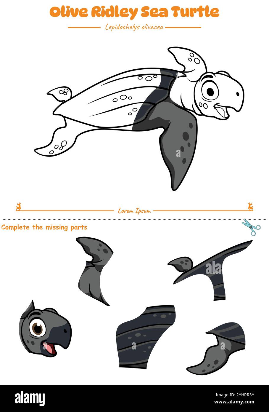 Cut and paste game for kid with Olive ridley sea turtle Stock Vector ...