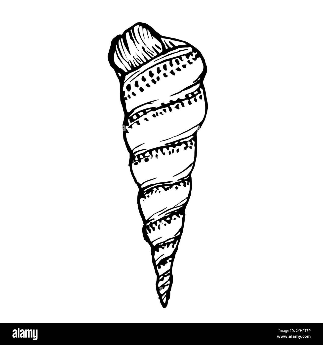 Seashell Sketch. Underwater Shells Vector Illustration on outline style ...