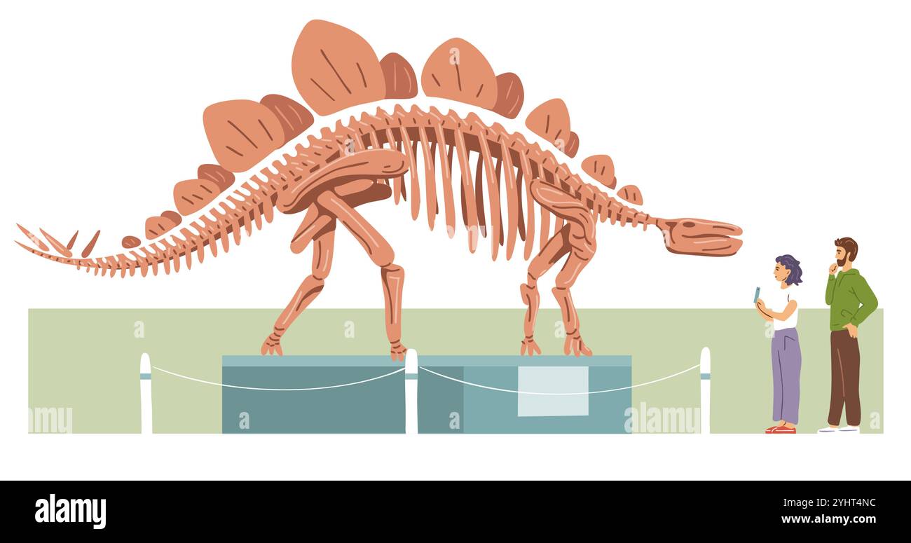 Museum of Paleontology. Stegosaurus skeleton. People are visitors ...
