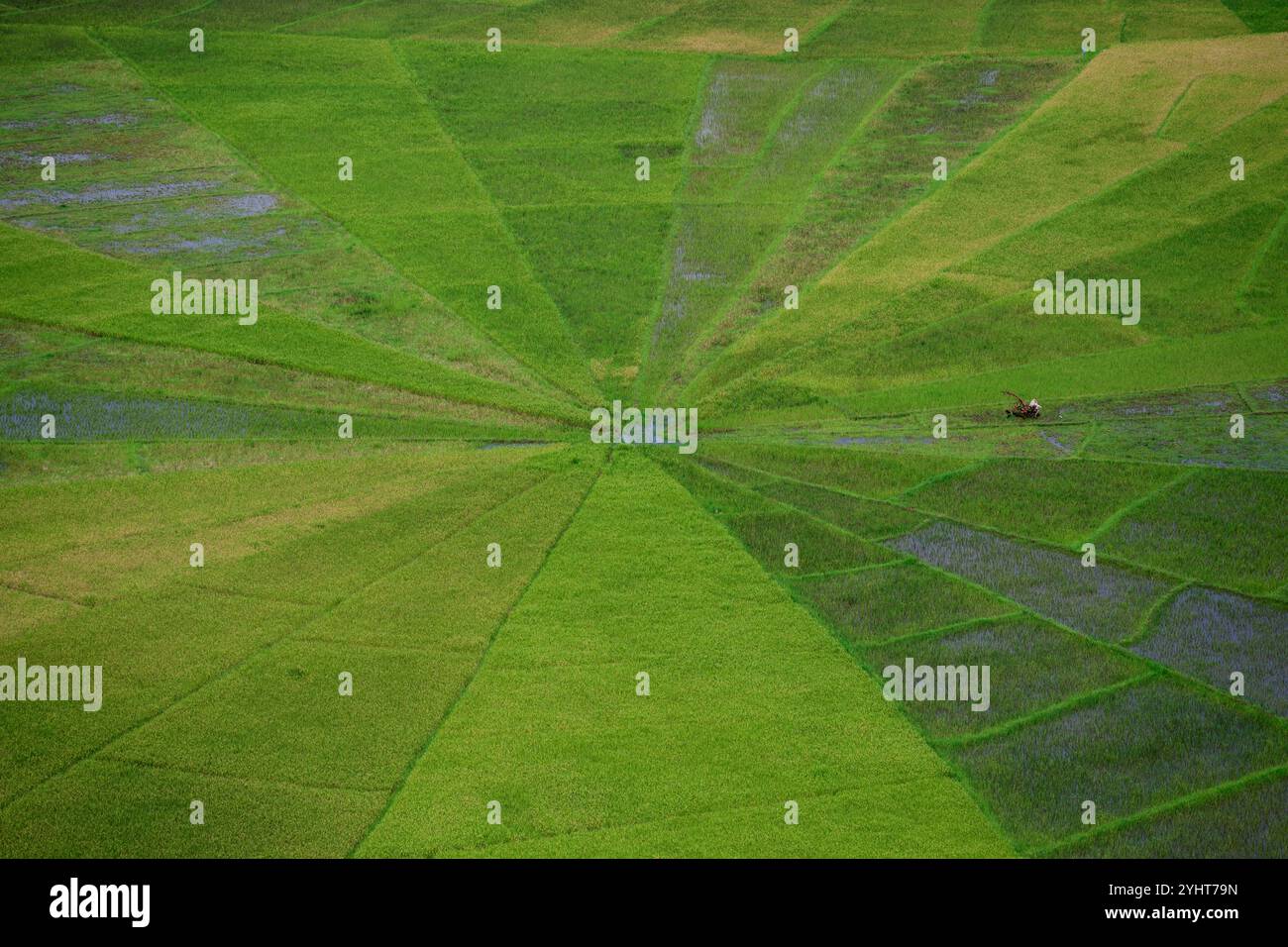 Beautiful green paddy fields landscape hi-res stock photography and ...