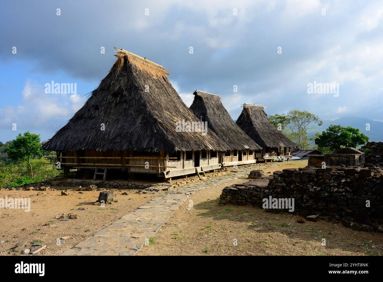 Wologai Traditional Village Tribal Houses of the Lio Tribe in Flores ...