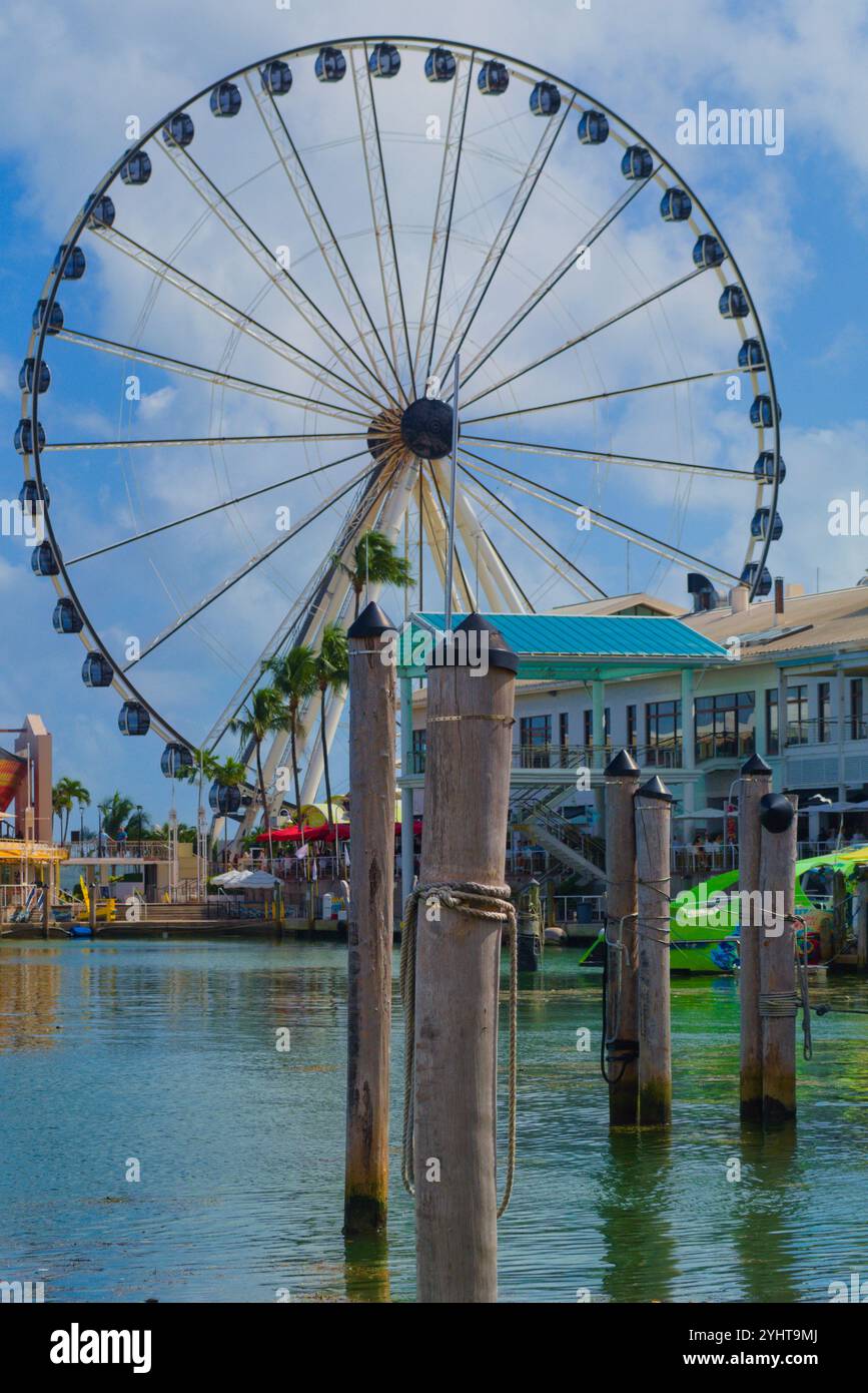 Miami wheel hi-res stock photography and images - Alamy