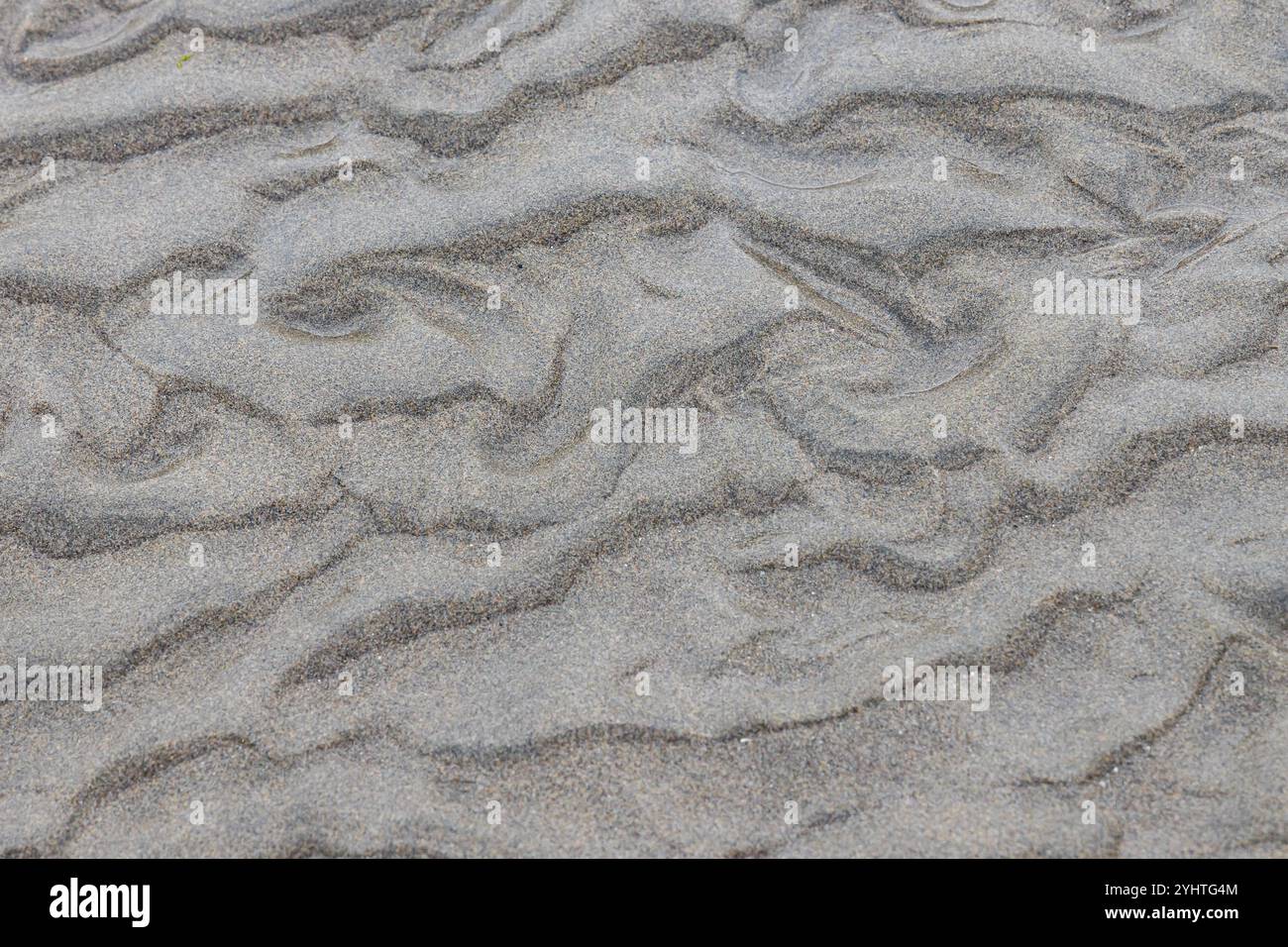 North America, USA, Washington State, Long Beach. Patterns in the sand ...