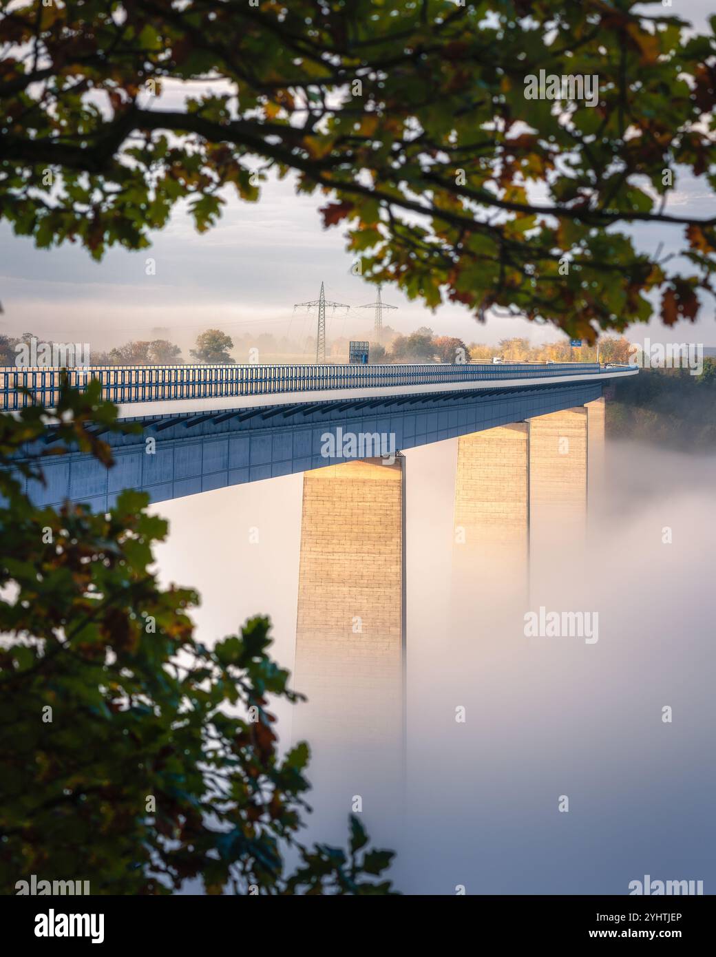 Foggy Morning at the Mullerthal Bridge, Germany: A Dramatic View ...