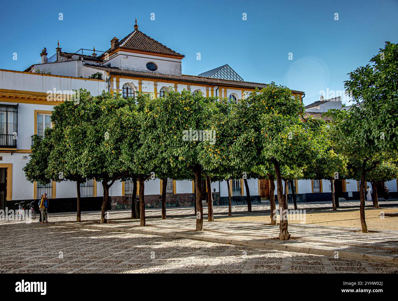 Seville, Spain. 12th Nov, 2024. On a beautifully clear day in November ...