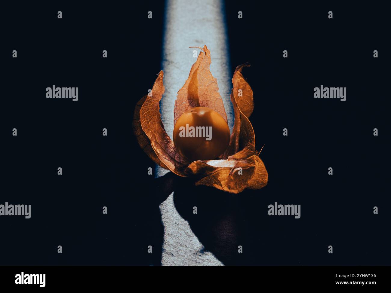 Subject essence hi-res stock photography and images - Alamy