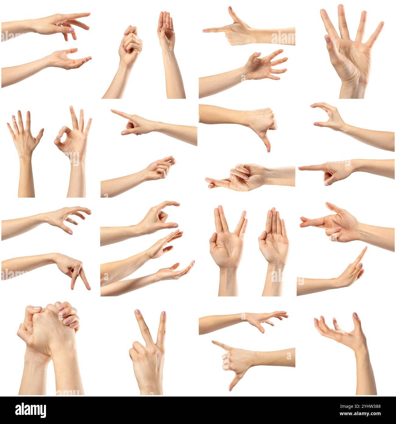 Collage of woman hands Stock Photo - Alamy