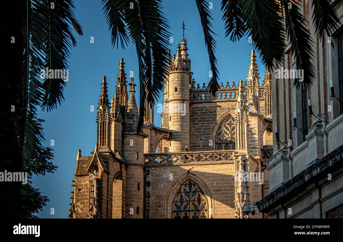 Seville, Spain. 12th Nov, 2024. On a beautifully clear day in November ...