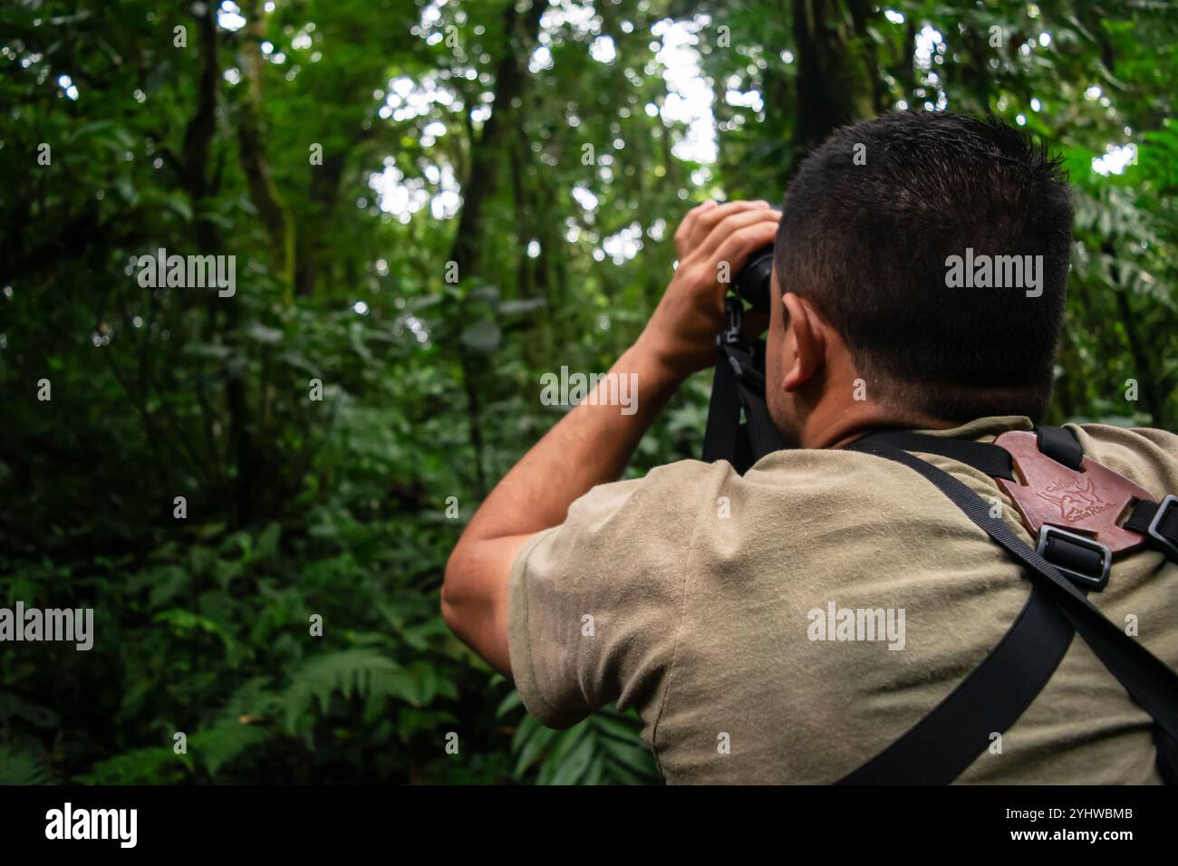 George of the Cloud Forest, guide and specialist, using binoculars to spot wildlife in Monterey ...