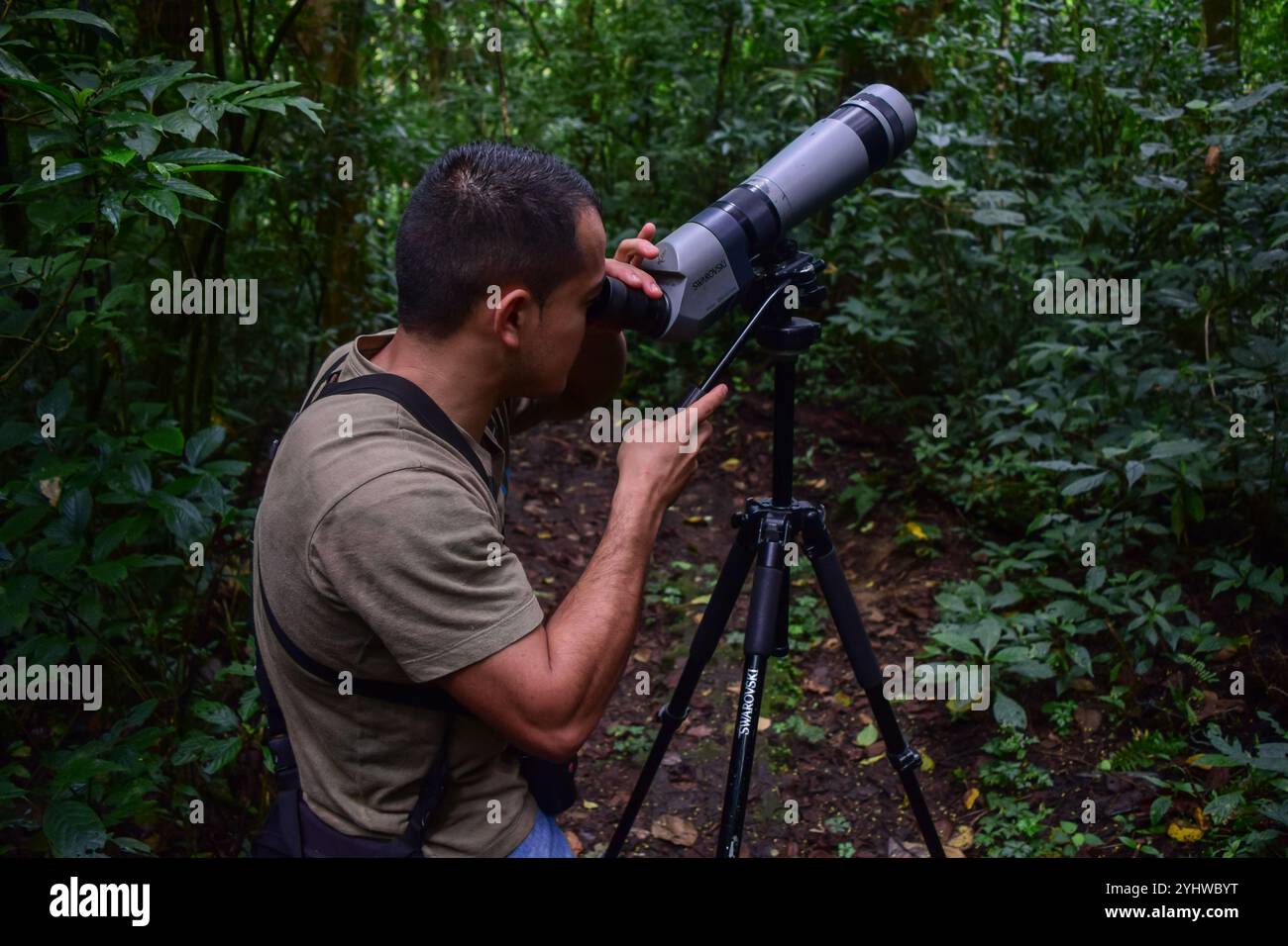 George of the Cloud Forest, guide and specialist, using a spotting ...