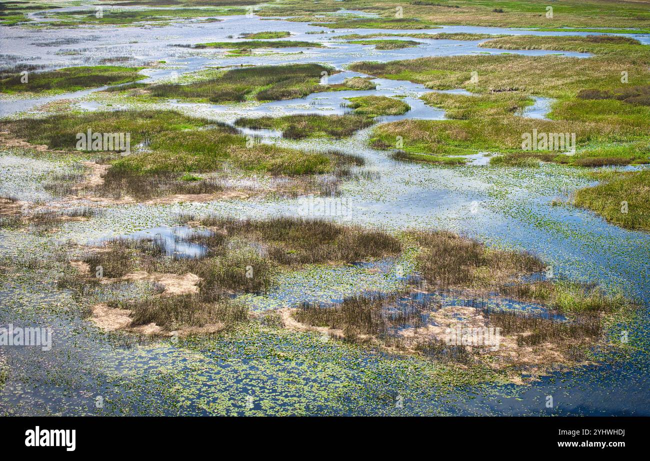 Lush Wetland Scenery of Florida with Patches of Water and Greenery ...