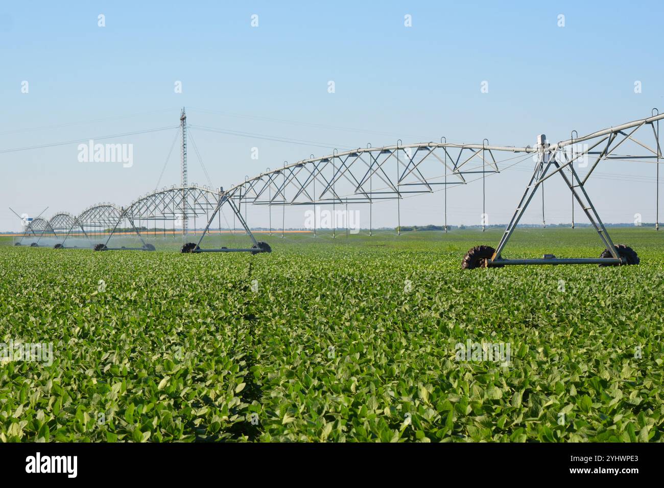 Irrigation system on soybean field. Modern agriculture. Food production ...