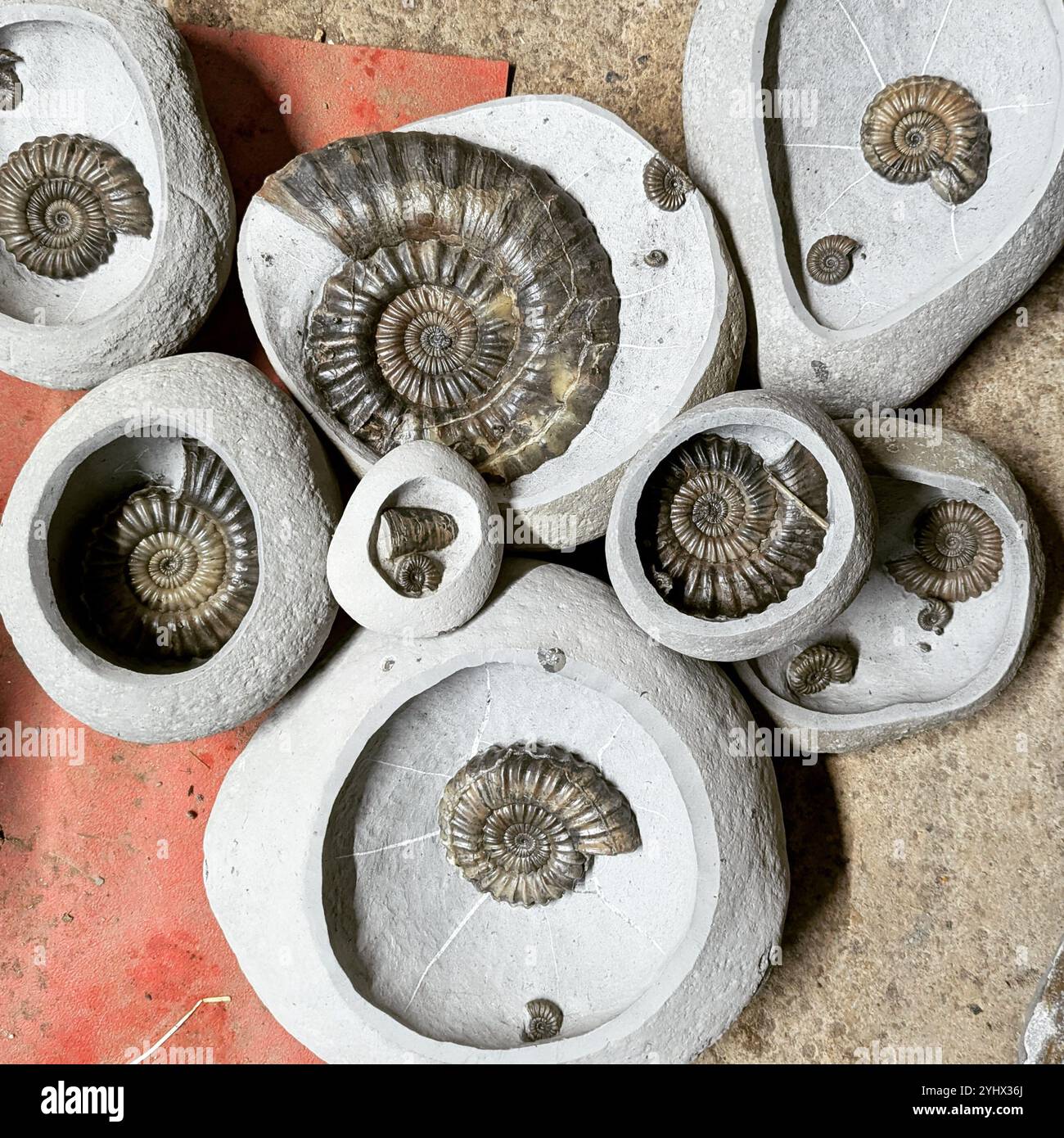 Mary anning rocks group hi-res stock photography and images - Alamy