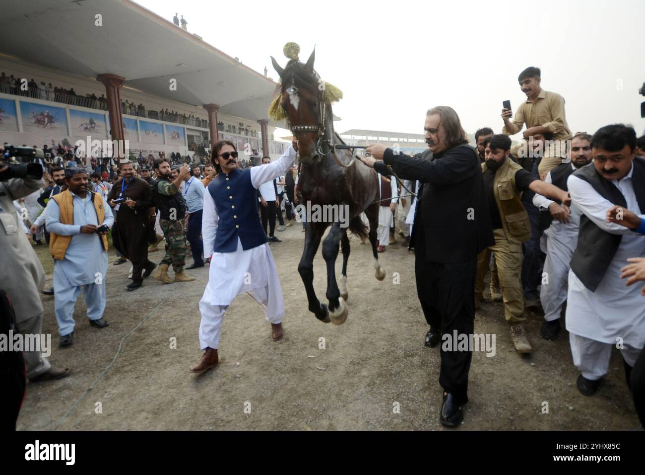 Peshawar, Peshawar, Pakistan. 9th Nov, 2024. Horse and Cattle show in ...
