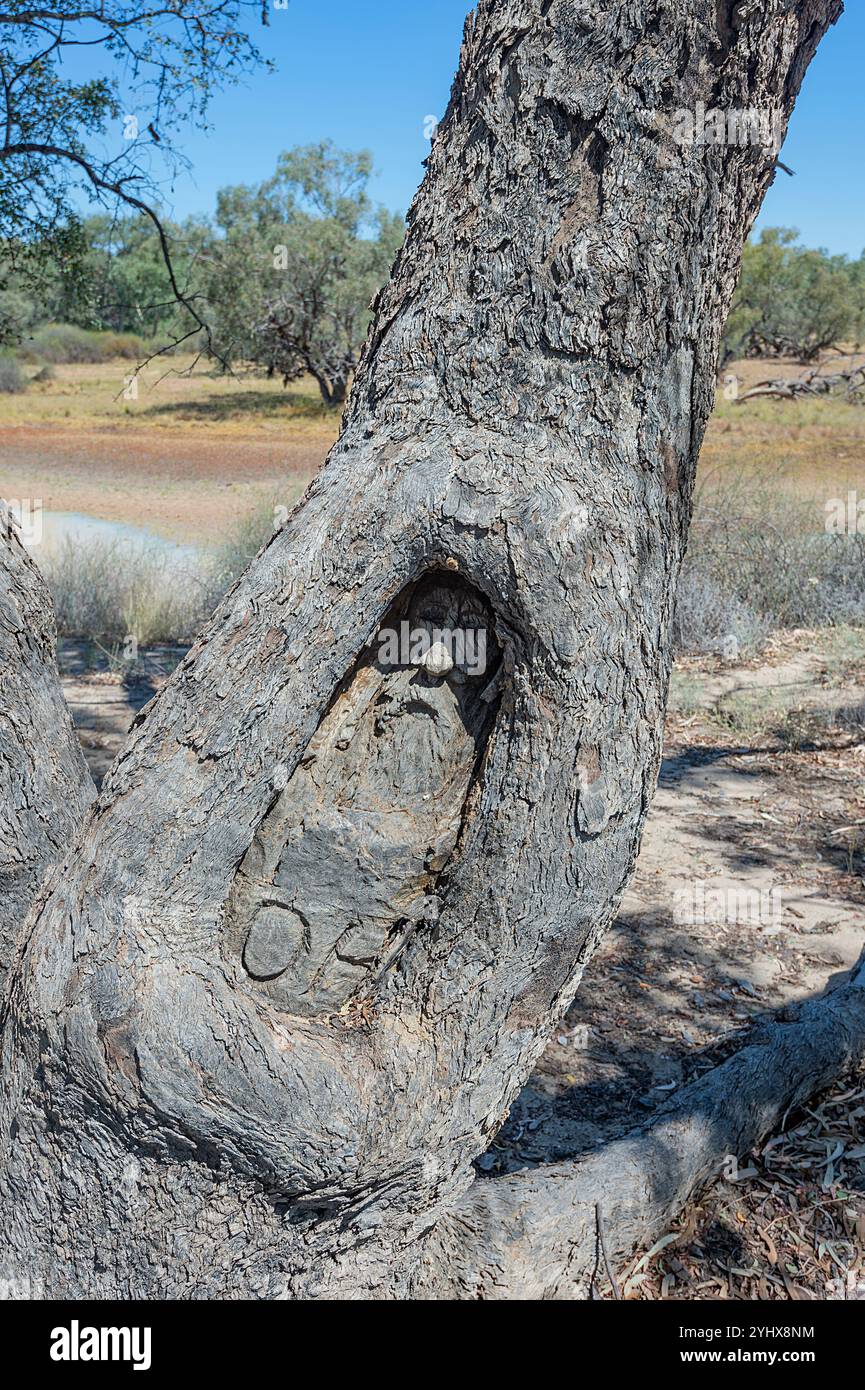 Robert o'Hara Burke's Face Blaze carved by John Dick at the historical ...