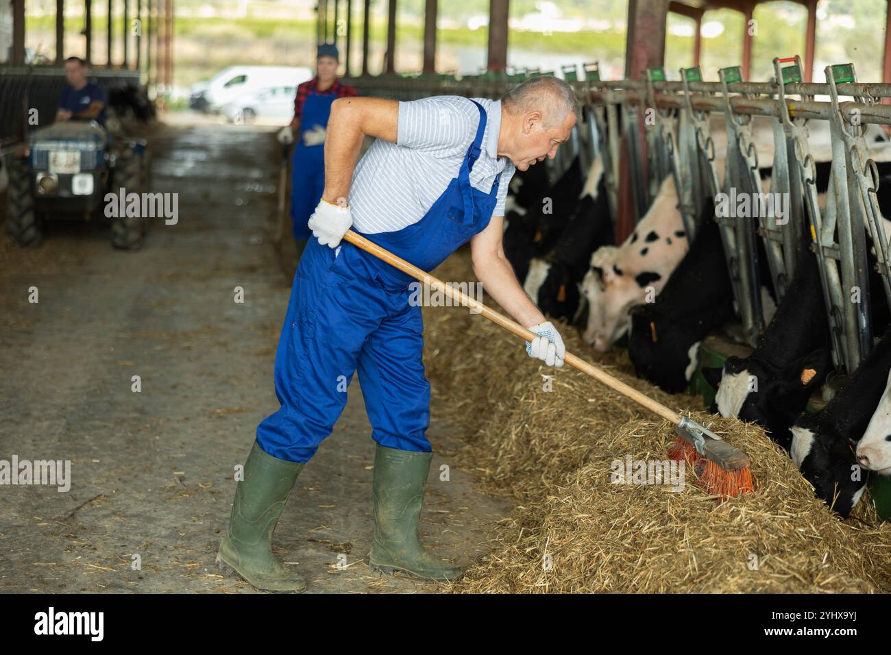 Sweep feeding hi-res stock photography and images - Alamy