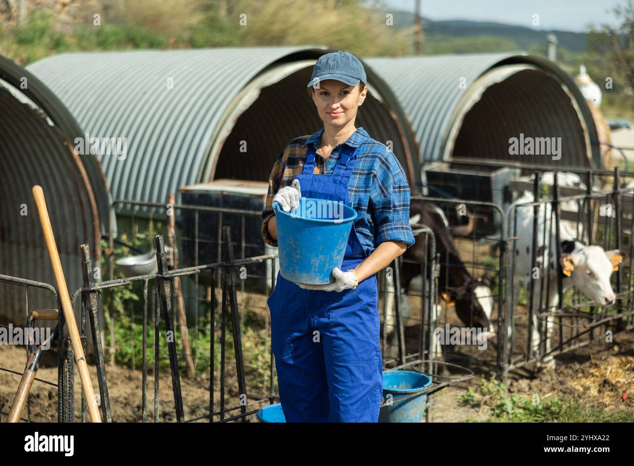 Portrait of female farmerwith bucket against the background of calf pen ...