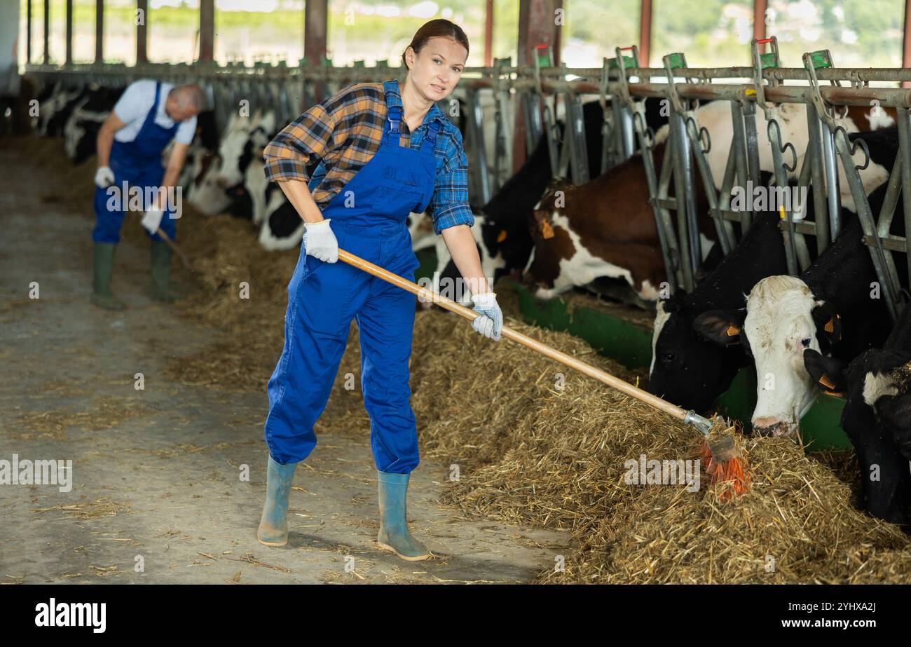 Adult woman sweeping hay in cowshed Stock Photo - Alamy