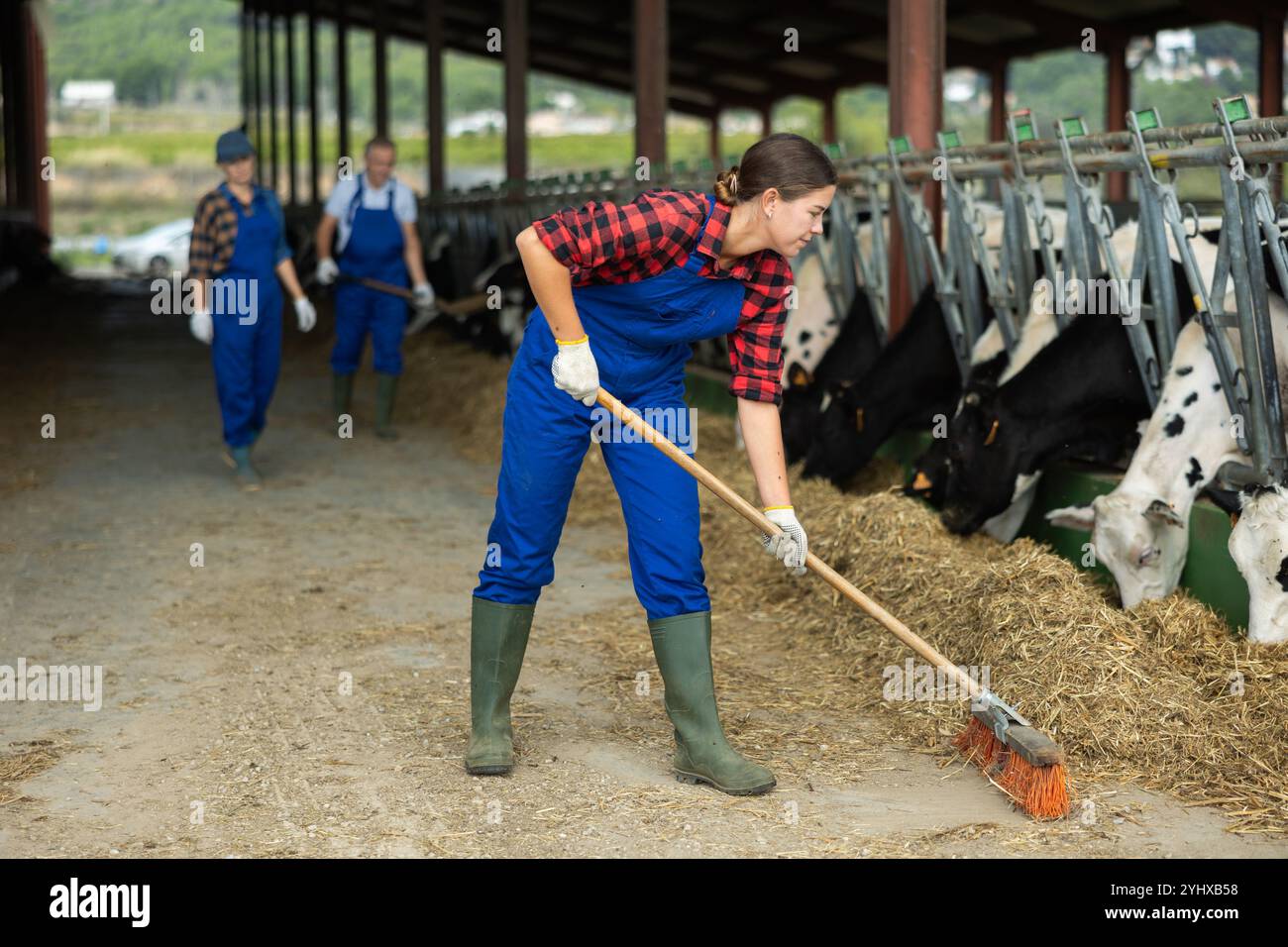 Woman sweeping in barn hi-res stock photography and images - Alamy
