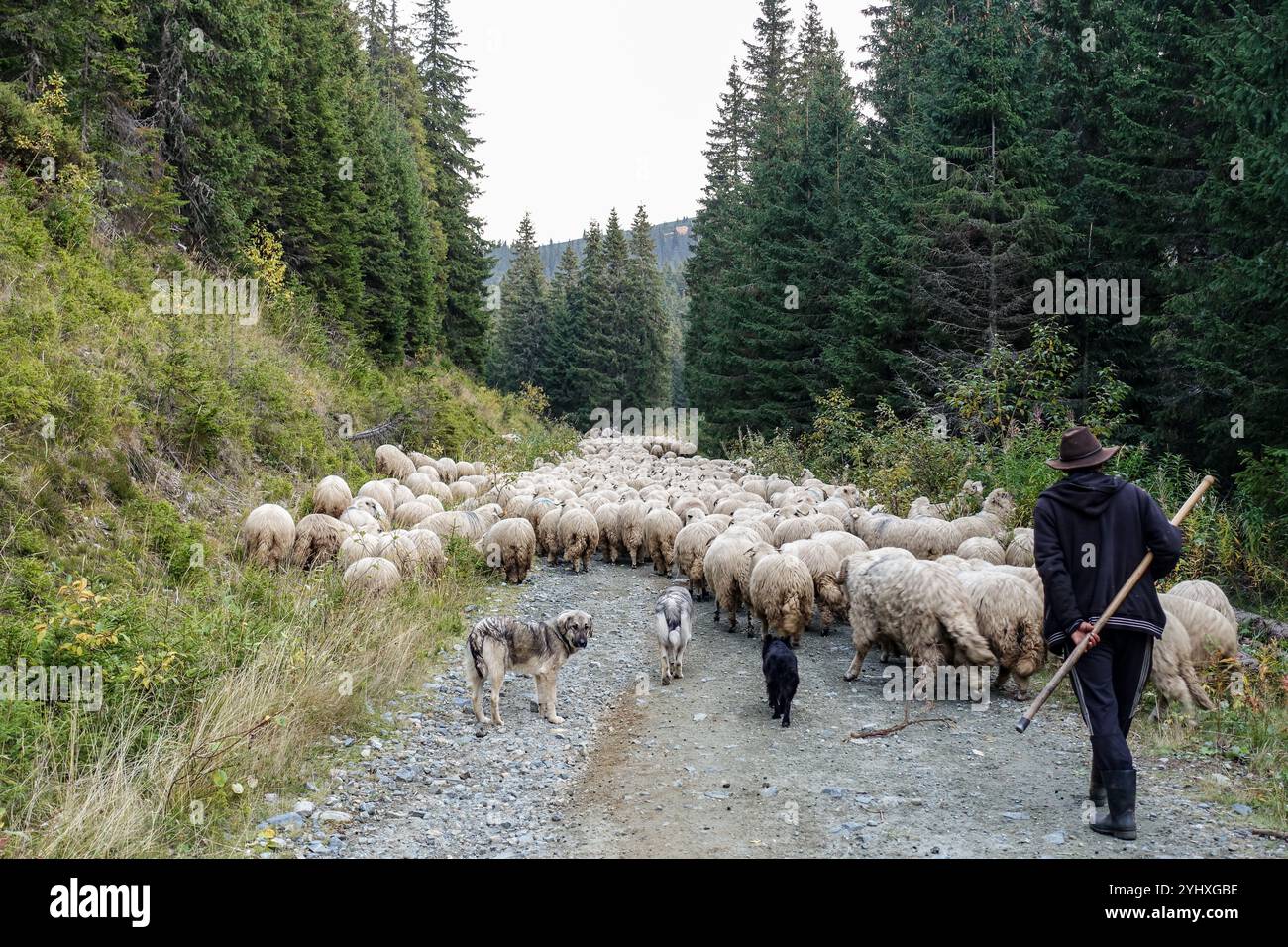 Transcindrel hi-res stock photography and images - Alamy