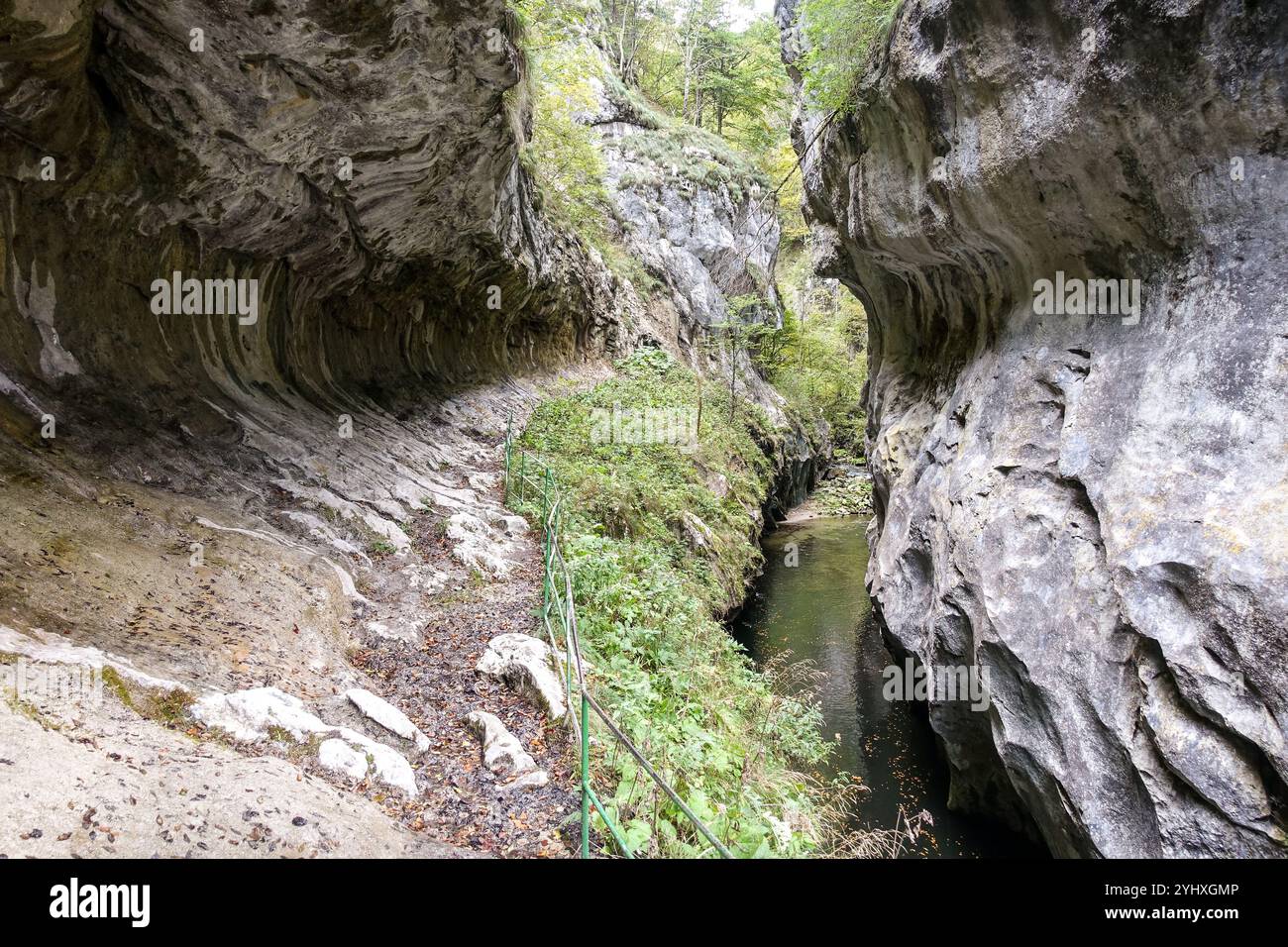 Narrow rocky canyon trees small hi-res stock photography and images - Alamy