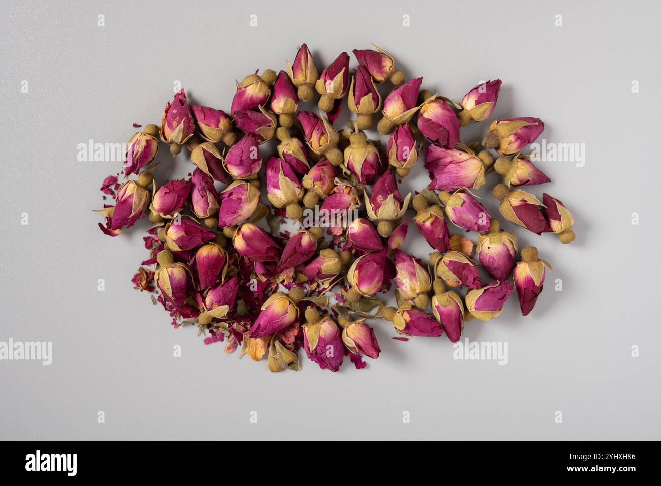 Flos rosae hi-res stock photography and images - Alamy