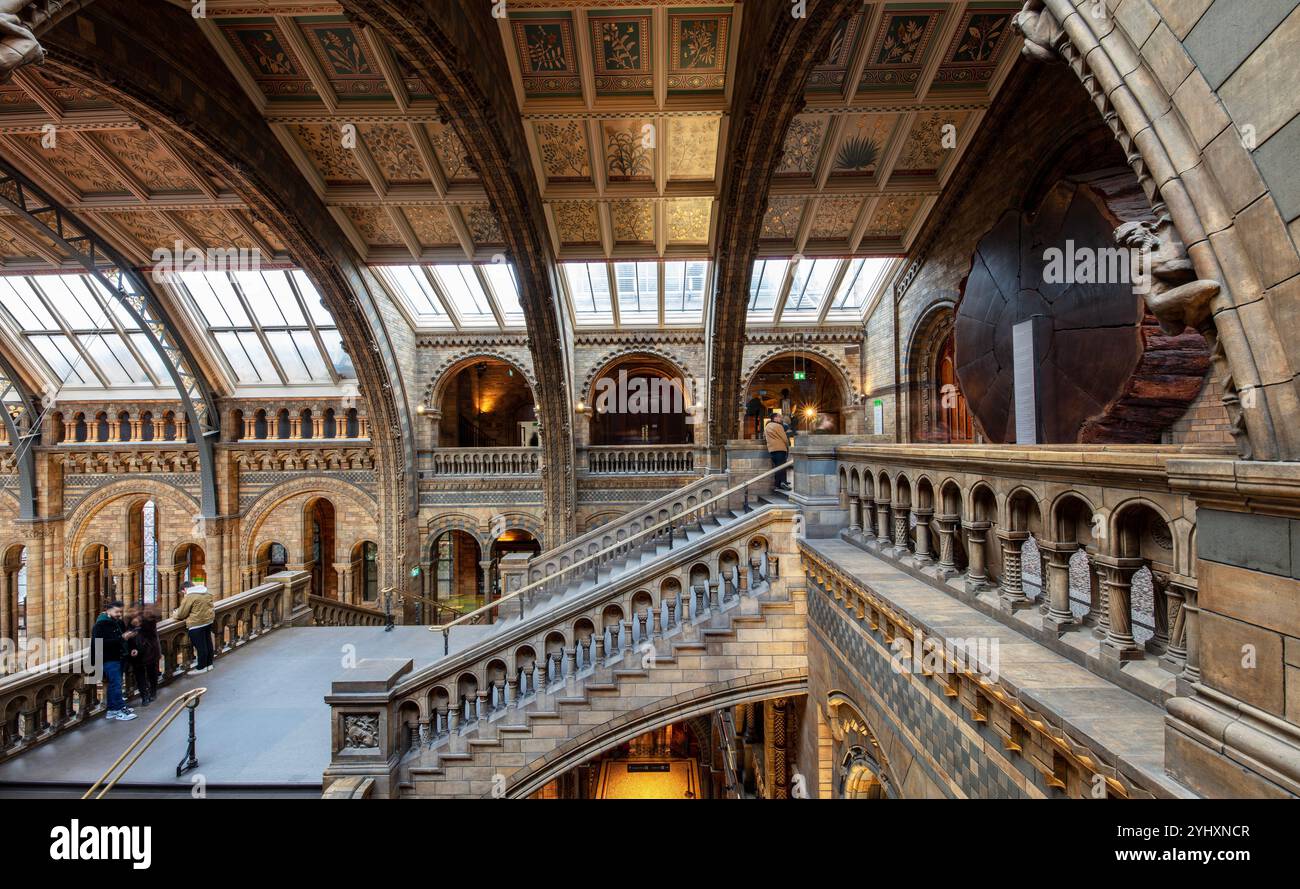 Interior of the Natural History Museum (NHM) in London; designed by ...