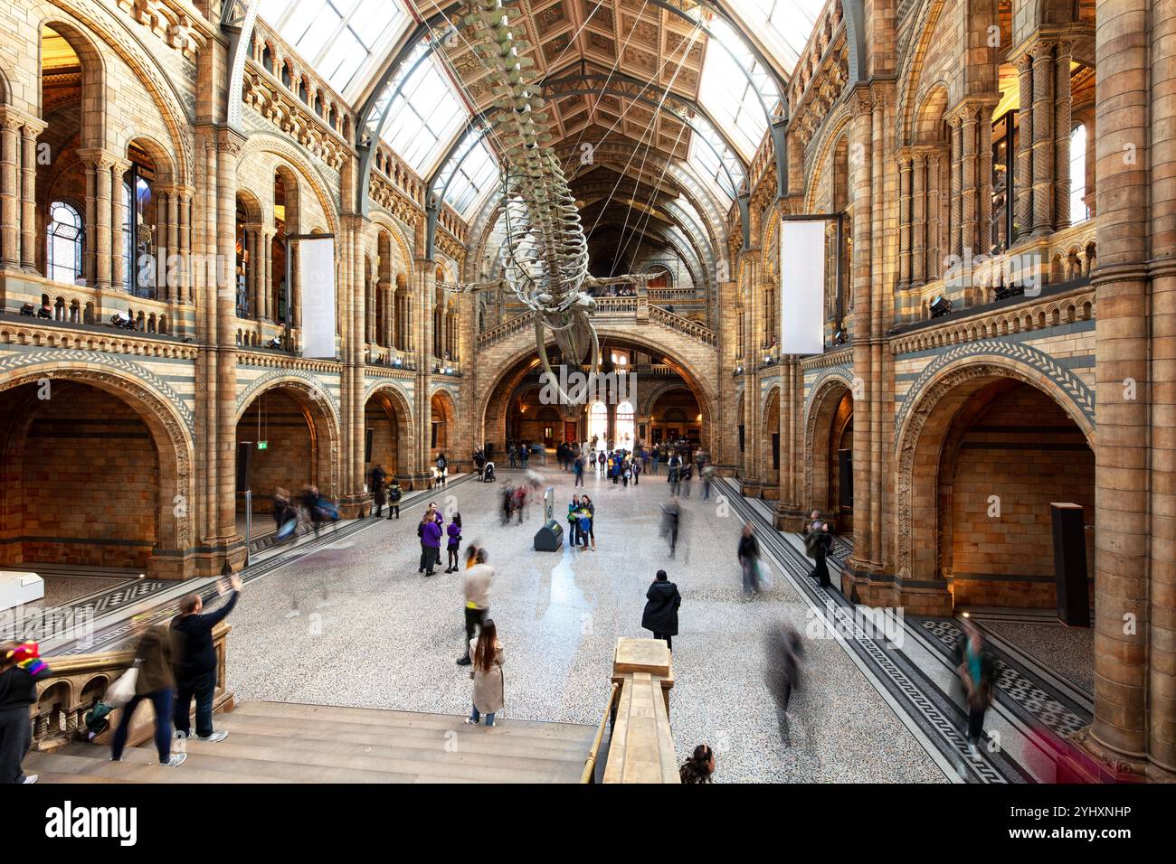Interior of the Natural History Museum (NHM) in London; designed by ...