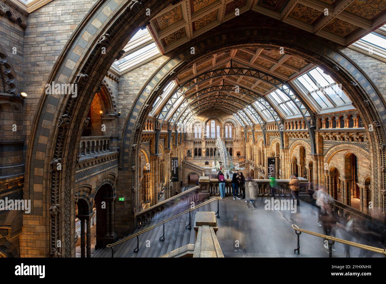 Interior of the Natural History Museum (NHM) in London; designed by ...